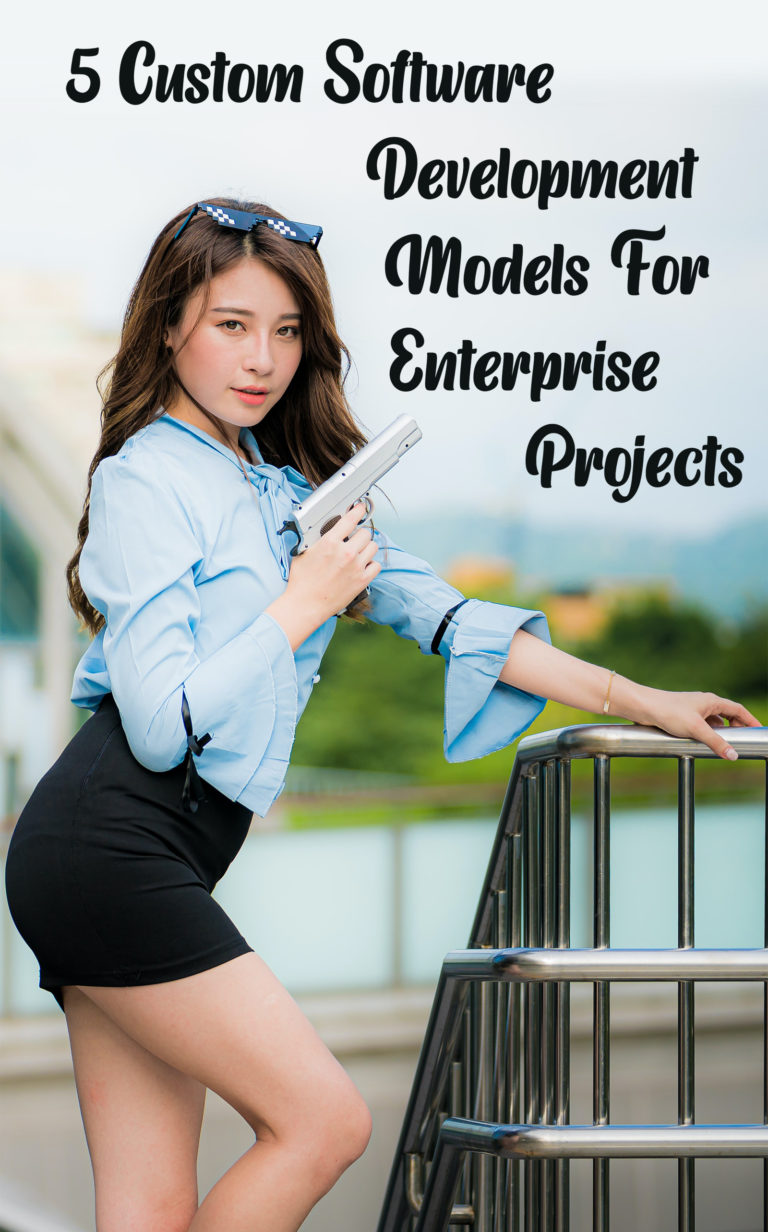 5 Custom Software Development Models For Enterprise Projects