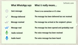 What Does It Mean When WhatsApp Has One Checkmark?