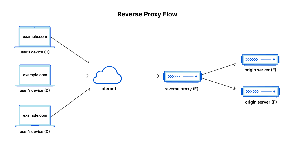 What Is A Reverse Web Proxy And What Are The Risks Of Using One